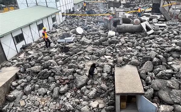 超萌搜救犬考試畫面曝光！Emma半小時救3人英姿網稱「超帥氣」 | - 太報 TaiSounds