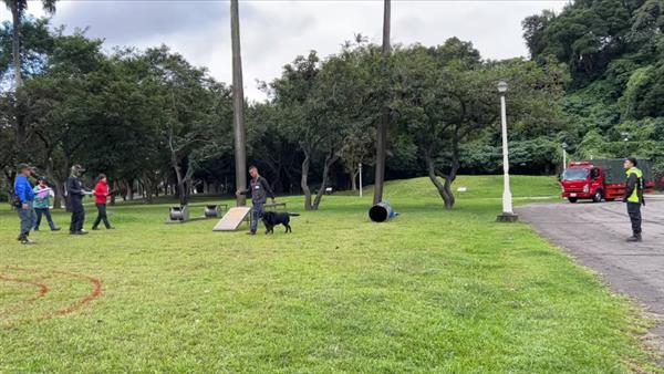 超萌搜救犬考試畫面曝光！Emma半小時救3人英姿網稱「超帥氣」 | - 太報 TaiSounds